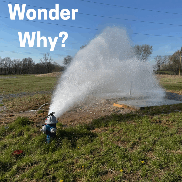 Wonder Why?- Flushing - Hardin County Water District No 2